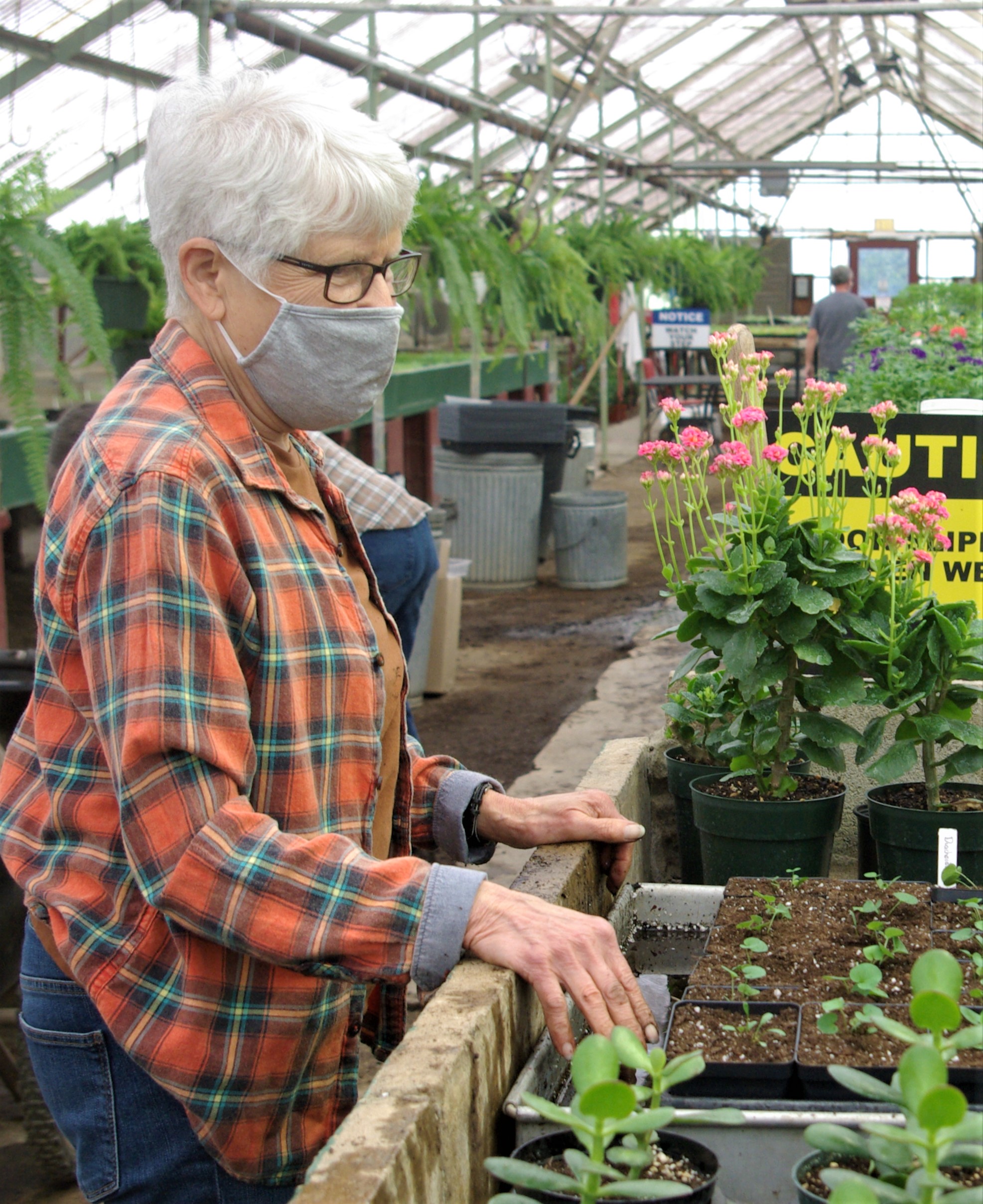 Planting Goodwill | News, Sports, Jobs - Times Observer